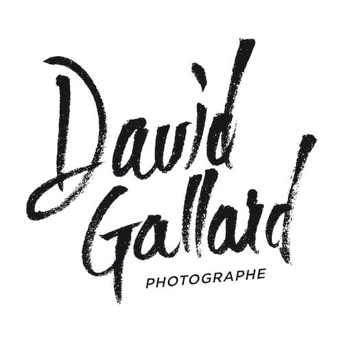 Photographe Nantes - David Gallard