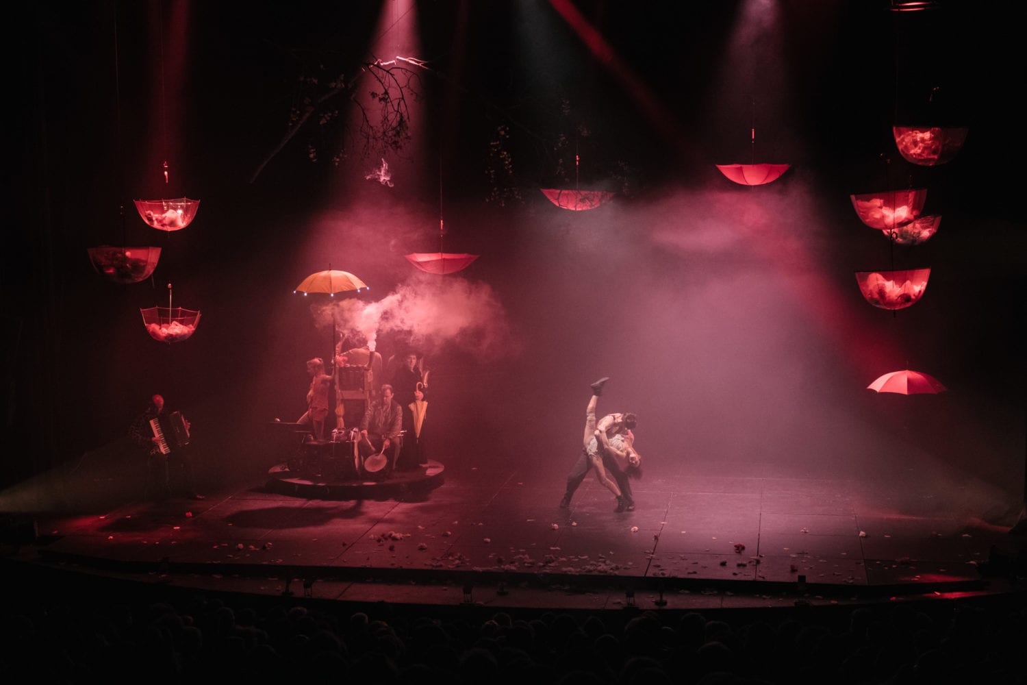 Cirque Plume, la dernière saison Photographe professionnel Nantes ...